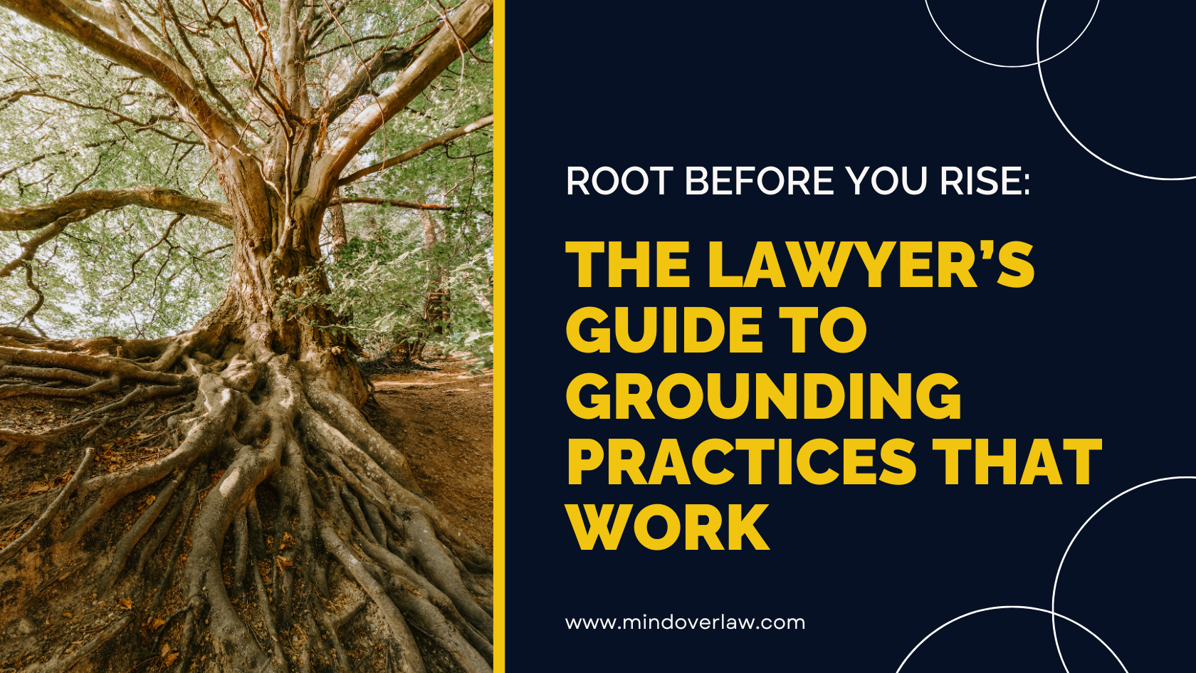 Root Before You Rise: The Lawyer’s Guide to Grounding Practices That ...